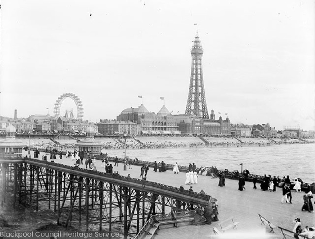 Showtown | Albert Eden