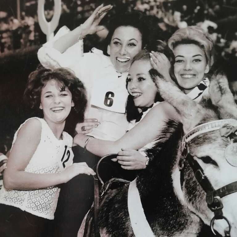 Showtown | The Tale of Two Donkeys