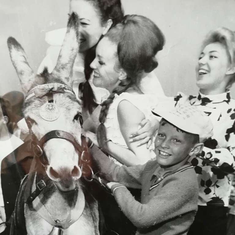 Showtown | The Tale of Two Donkeys