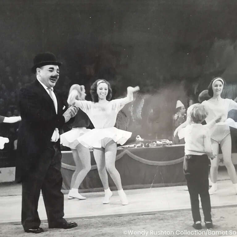 Showtown | The Tale of Two Donkeys